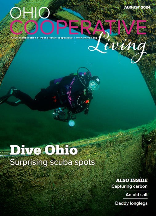 Home | Ohio Rural Electric Cooperatives, Inc., and Buckeye Power, Inc